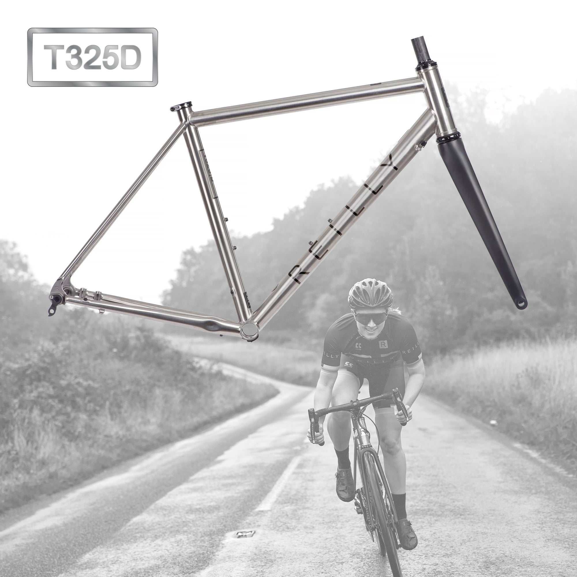 T325D ROAD DISC FRAMESET XL